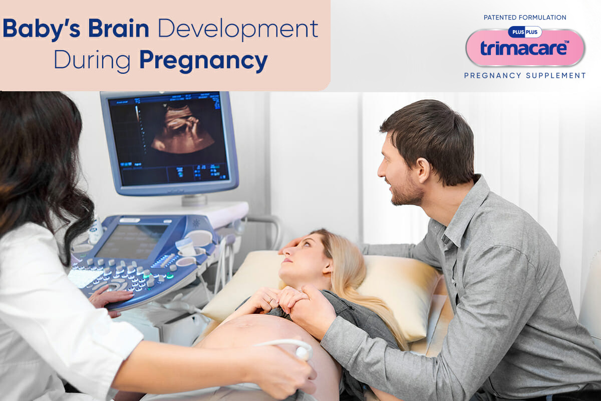 Brain Development for Babies During Pregnancy | Plusplus LifeSciences