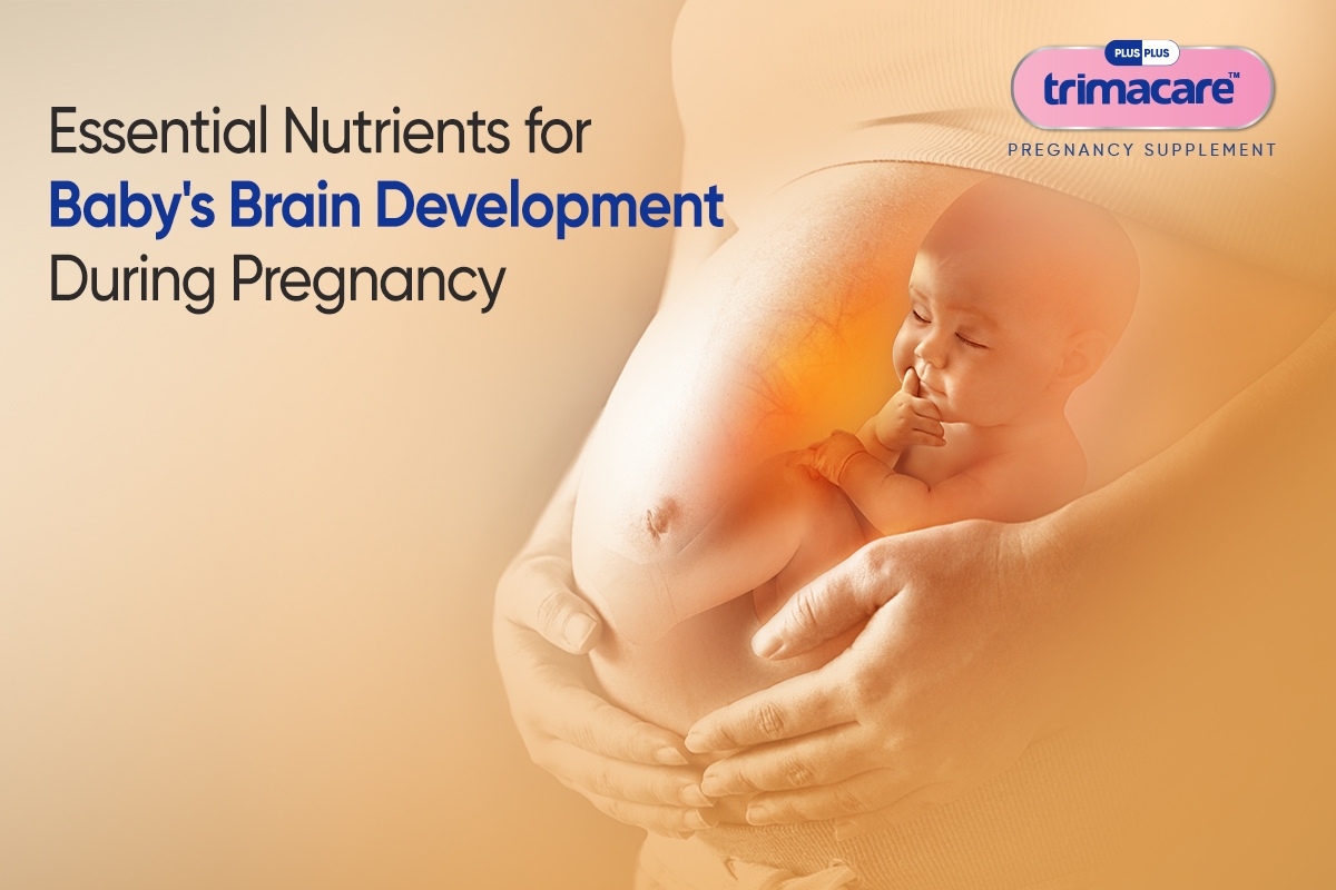 Baby Brain Development During Pregnancy: Guide for Expectant Parents | Plusplus Lifesciences